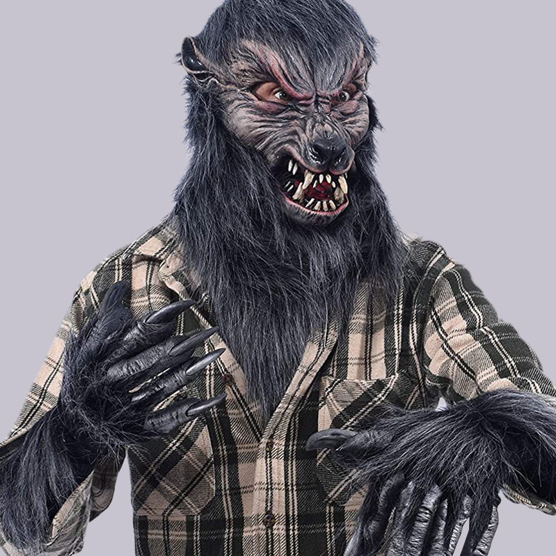 Zagone Studios Japan | 正規輸入販売店